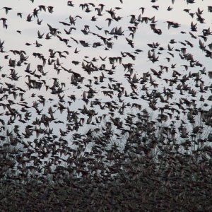 somerset-levels | DPReview Forums