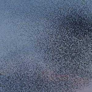 somerset-levels | DPReview Forums