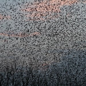 somerset-levels | DPReview Forums