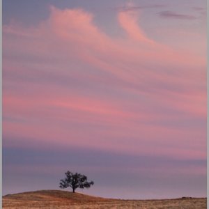 scott-road | DPReview Forums