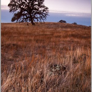 scott-road | DPReview Forums