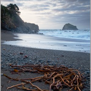 van-damme-state-beach | DPReview Forums