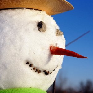 Snowman 3 | DPReview Forums
