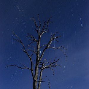 sunsets and star_009 | DPReview Forums