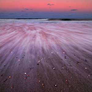 amelia-island | DPReview Forums