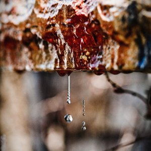 chicagoland-digital-photography-meetup-group | DPReview Forums