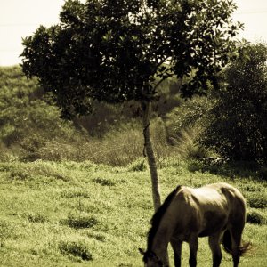 park-menachem | DPReview Forums