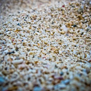 Sand | DPReview Forums