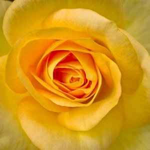 jan-2011 | DPReview Forums