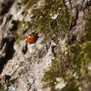 Unbenannt | DPReview Forums