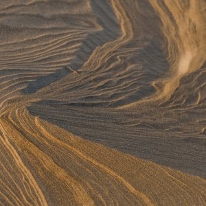 Sand lines | DPReview Forums
