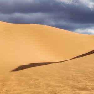 The Dune 2 | DPReview Forums