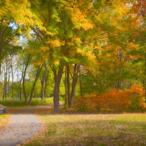 october-2010 | DPReview Forums