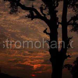 Astromohan_Russia12 | DPReview Forums