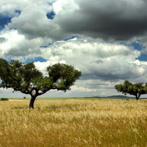 shutterbug---submissions | DPReview Forums